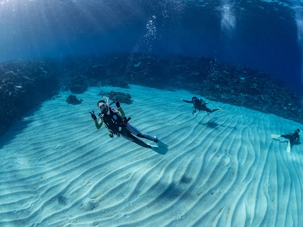 今日も透明度スコーン | ブログ&ニュース | 沖縄のダイビングショップ